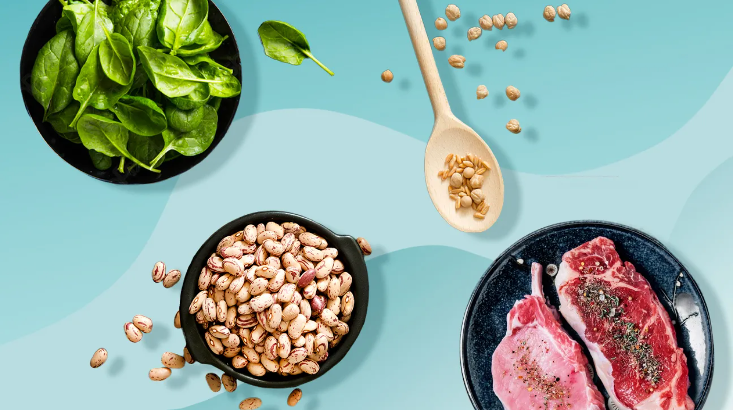 WHO WINS: Plant VS. Animal Based Diets! – India Hemp Organics