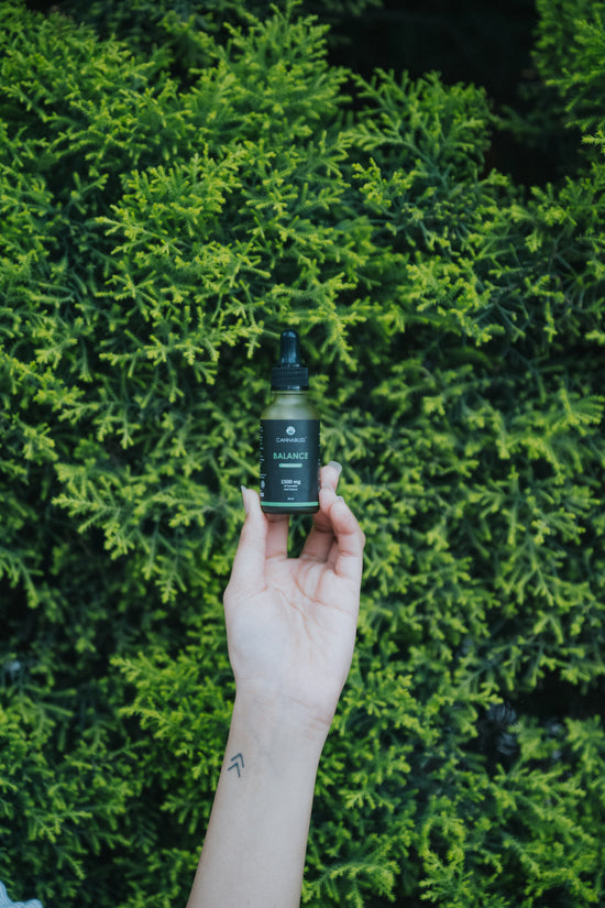 Buy Full Spectrum CBD Oil Online at Best Prices in India | India Hemp ...