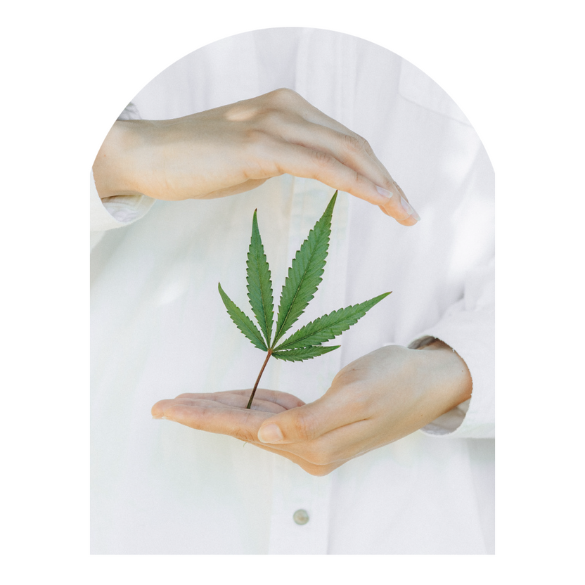 about 3 – India Hemp Organics